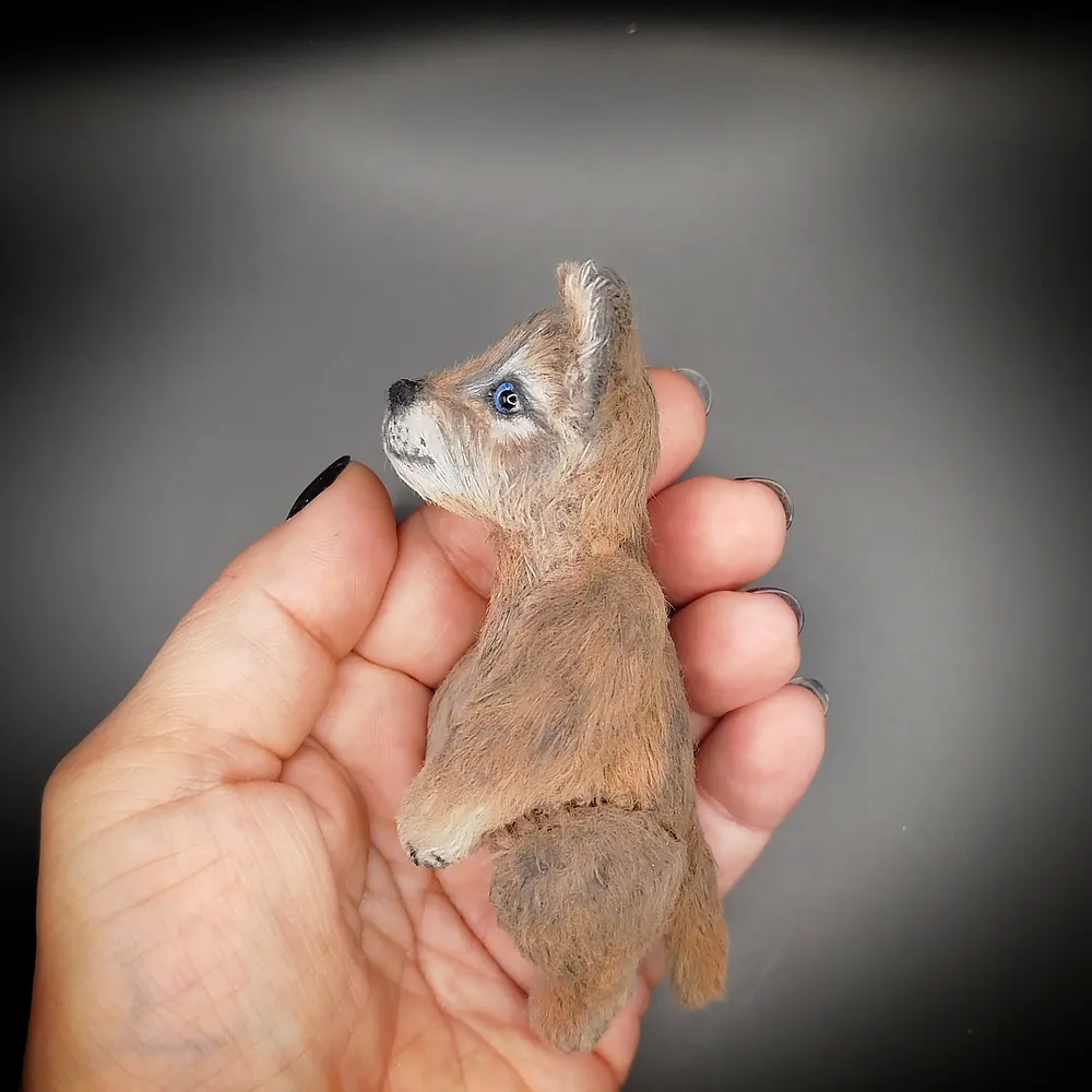 Blue-eyed wolf cub by Agapova Olga - Bear Pile