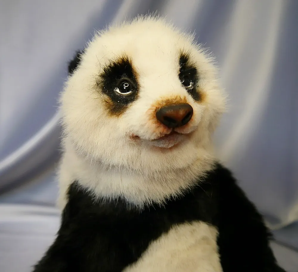 Panda Tan Tan by Lyudmila Nepomnyashchaya - Bear Pile