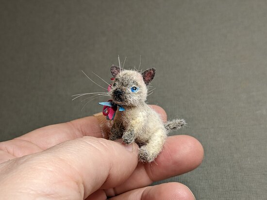 Siamese kitten by Vasilenko Ekaterina - Bear Pile