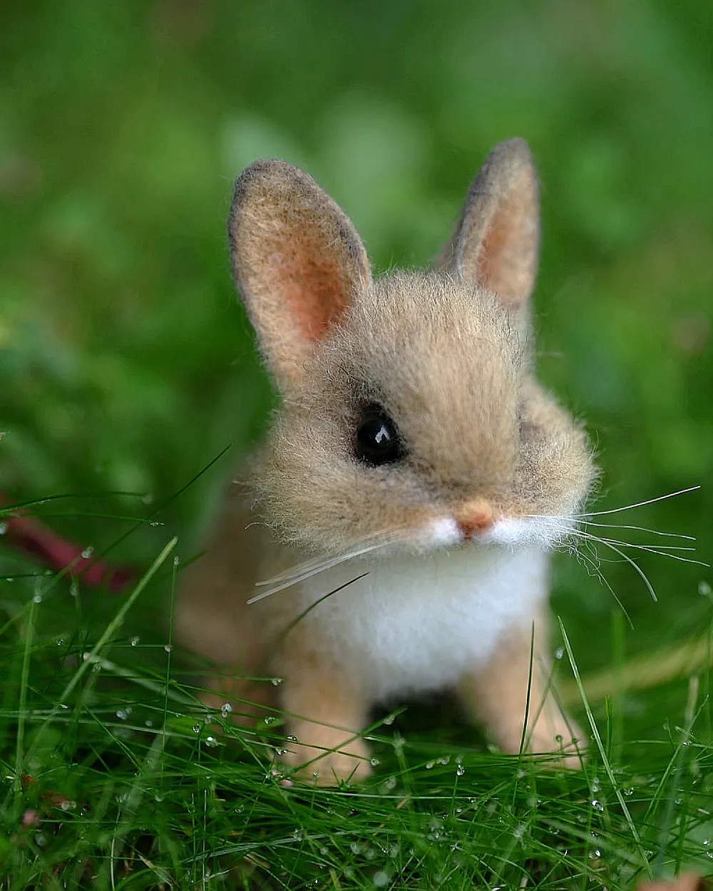 Rabbit by Julia Derevschikova - Bear Pile