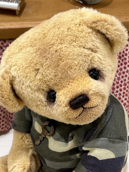 Benji by Bonnie Foster - Bear Pile