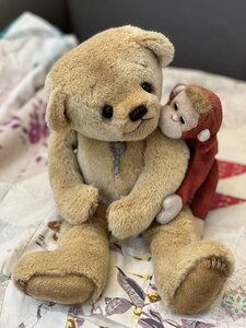 Benji by Bonnie Foster - Bear Pile