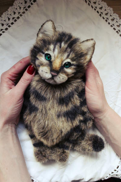 Teddy cat. Pet portraits by Katerina Makogon - Bear Pile