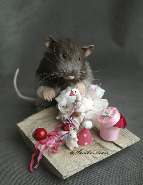 Circus rat Ramses by Marina Yamkovskaia - Bear Pile