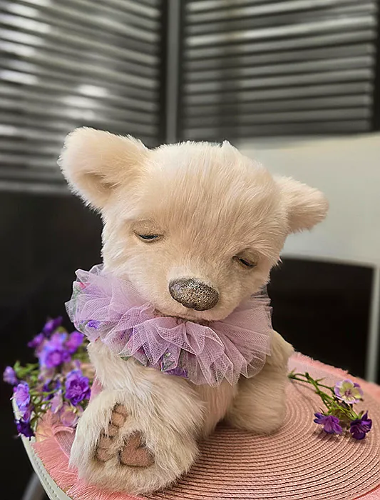 Mary, the teddy bear by Jelena K. - Bear Pile