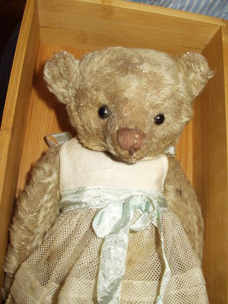 Darby´s Bear Forget me not bear by Mary Wiltshire - Bear Pile