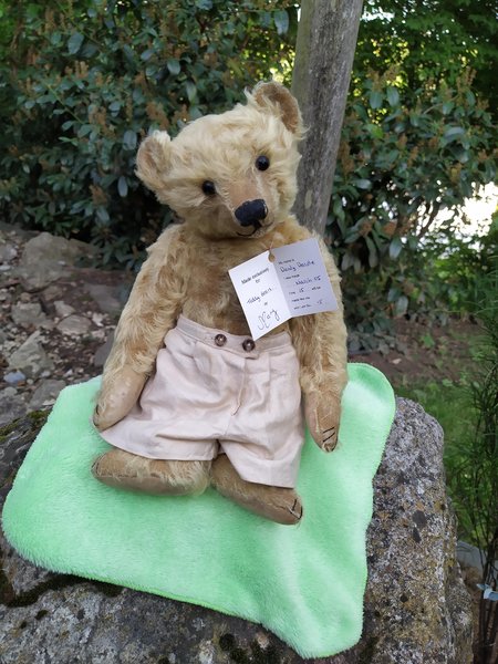 DANDY DARDLE Forget me not bear by Mary Wiltshire - Bear Pile