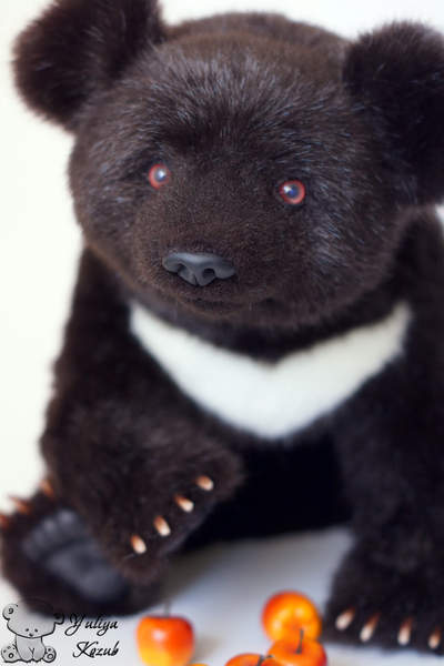 Himalayan bear cub Shanita by Yuliya Kozub - Bear Pile