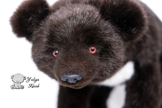 Himalayan bear cub Shanita by Yuliya Kozub - Bear Pile