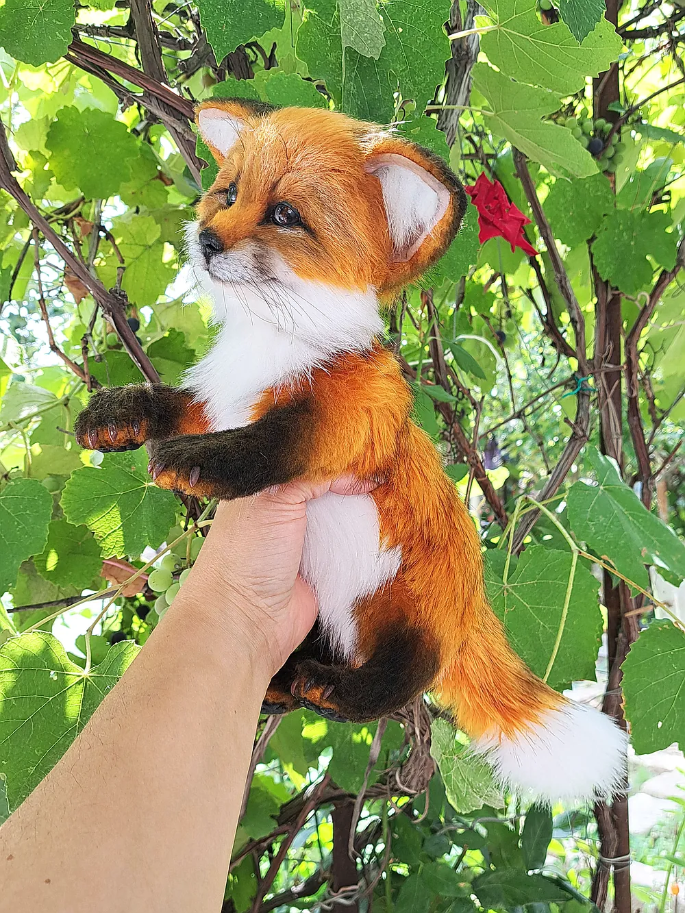 Fox cub Ludwig by Inna Blagova - Bear Pile