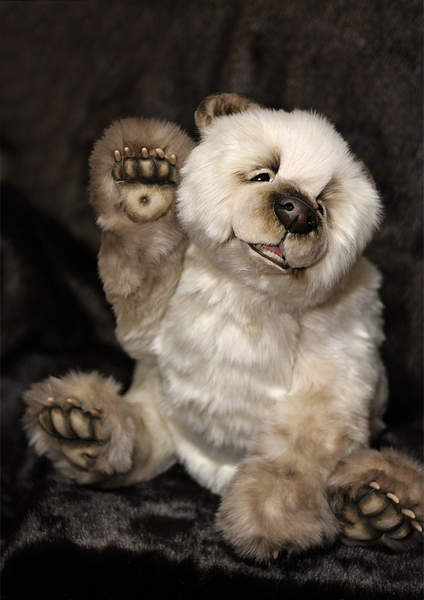 Ebby by Irina Kudryashova - Bear Pile