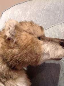 Sunny by Bisson bears - Bear Pile