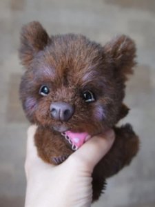 Ula by Svetlana Chern - Bear Pile