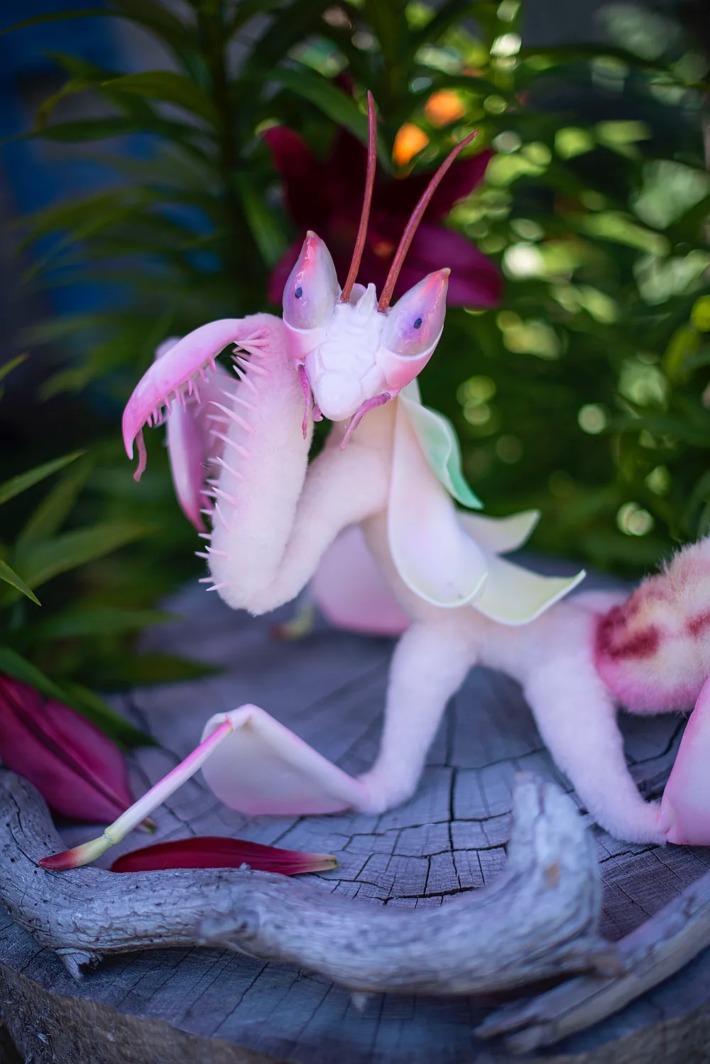 orchid mantis by Таня Філатова - Bear Pile