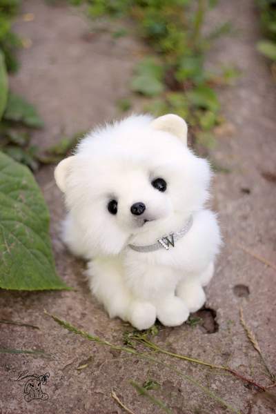 Woof by Lastenka - Bear Pile