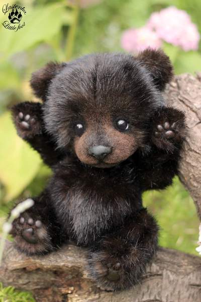 Bear cub Kuzya by Evgeniya and Igor Krasnov - Bear Pile