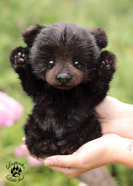 Bear cub Kuzya by Evgeniya and Igor Krasnov - Bear Pile