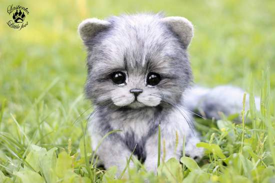 Kitten Aimee by Evgeniya and Igor Krasnov - Bear Pile