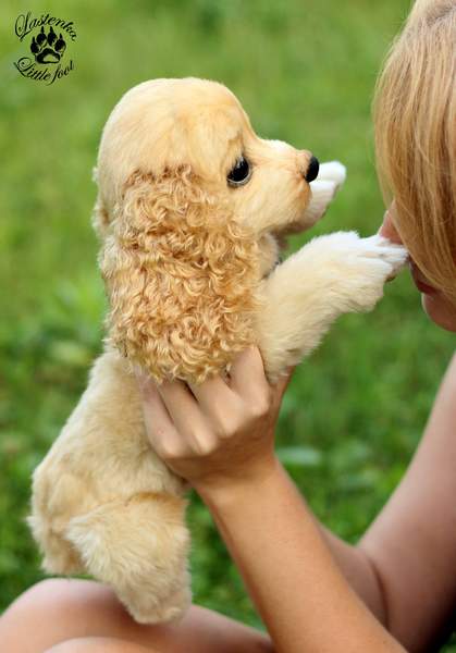 Puppy Cocker Spaniel Marley by Evgeniya and Igor Krasnov - Bear Pile