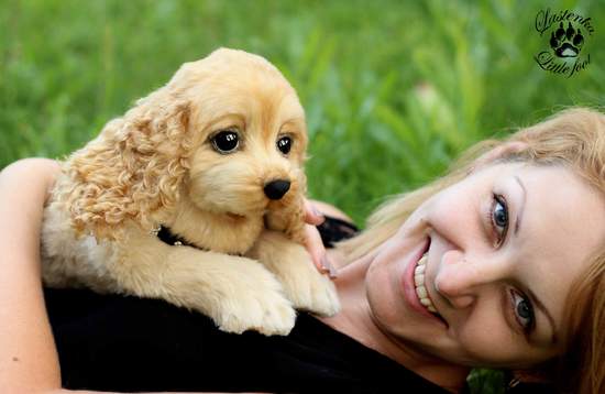 Puppy Cocker Spaniel Marley by Evgeniya and Igor Krasnov - Bear Pile