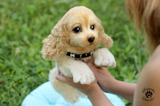 Puppy Cocker Spaniel Marley by Evgeniya and Igor Krasnov - Bear Pile