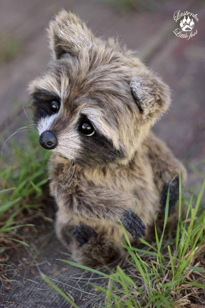 Raccoon Bambi by Evgeniya and Igor Krasnov - Bear Pile