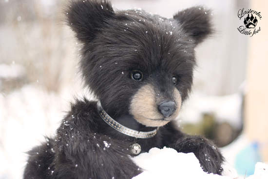 American black bear Jack by Igor Krasnov - Bear Pile