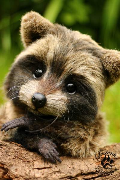 Raccoon Sweetie by Evgeniya and Igor Krasnov - Bear Pile