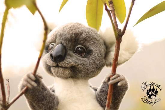 Koala Sydney by Evgeniya and Igor Krasnov - Bear Pile