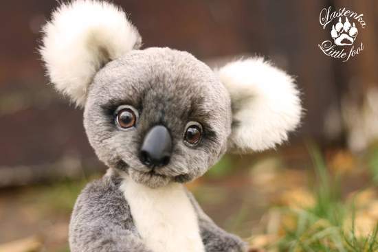 Koala Sydney by Evgeniya and Igor Krasnov - Bear Pile