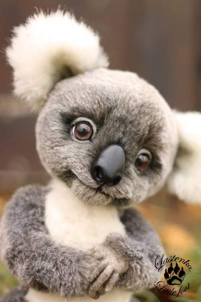Koala Sydney by Evgeniya and Igor Krasnov - Bear Pile
