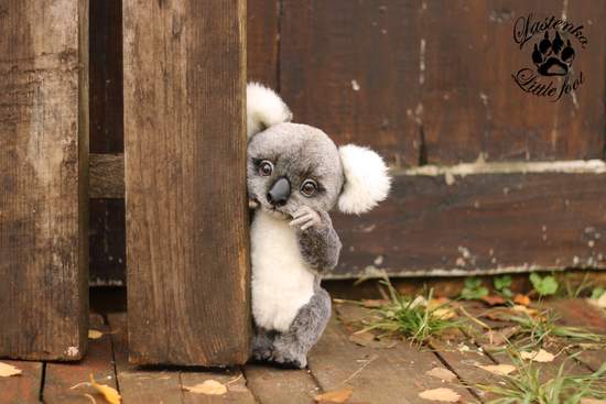 Koala Sydney by Evgeniya and Igor Krasnov - Bear Pile