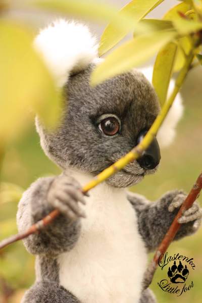 Koala Sydney by Evgeniya and Igor Krasnov - Bear Pile