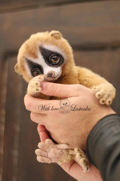 Loris Abu by Evgeniya and Igor Krasnov - Bear Pile