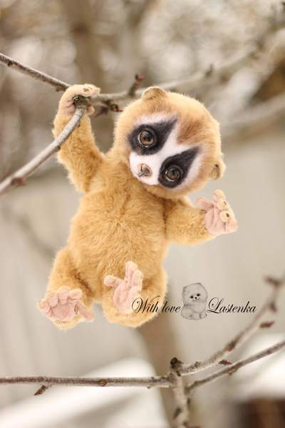 Loris Abu by Evgeniya and Igor Krasnov - Bear Pile