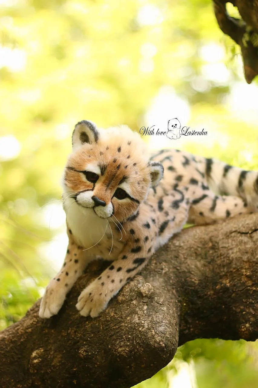 Cheetah cub by Evgeniya and Igor Krasnov - Bear Pile