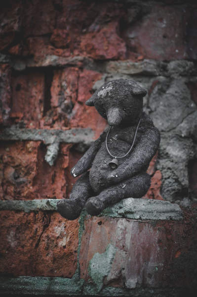 Real Old Bear by Kristina Shabliy - Bear Pile