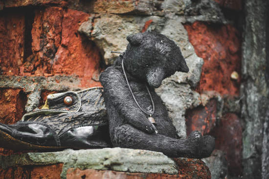 Real Old Bear by Kristina Shabliy - Bear Pile