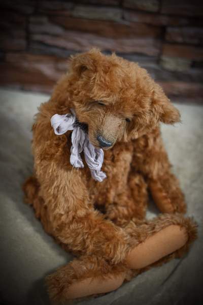Real Old Bear by Kristina Shabliy - Bear Pile