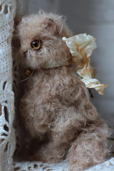 Cat Modest by Anzhelika Costin - Bear Pile