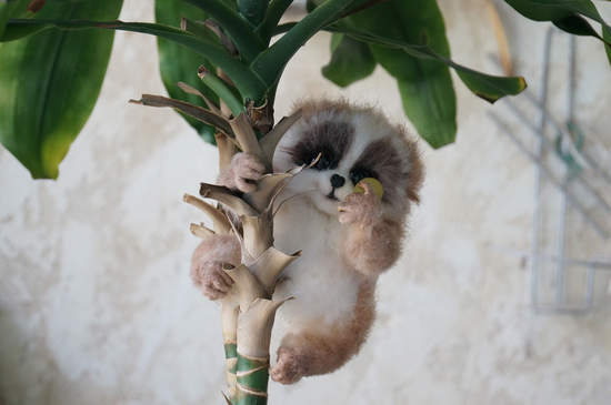 Lemur - plump loris by Tsybina Natali - Bear Pile
