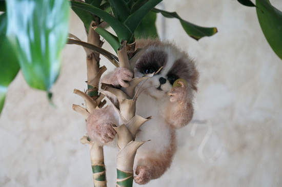 Lemur - plump loris by Tsybina Natali - Bear Pile