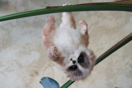 Lemur - plump loris by Tsybina Natali - Bear Pile