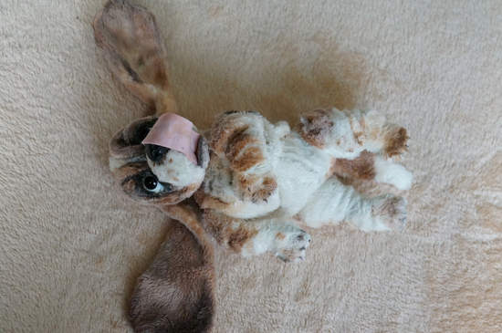 basset hound Goofy by Tsybina Natali - Bear Pile