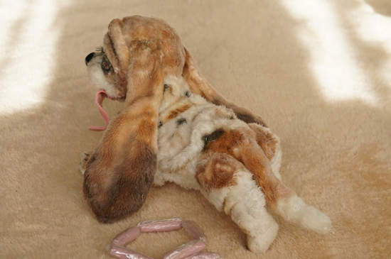 basset hound Goofy by Tsybina Natali - Bear Pile