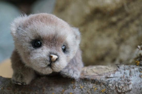 weasel by Tsybina Natali - Bear Pile