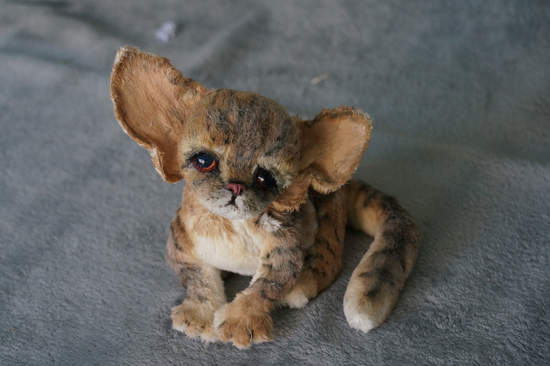 Devon Rex kitten Brook by Tsybina Natali - Bear Pile