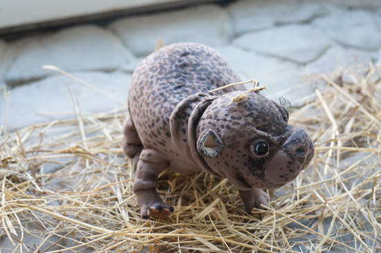 pygmy hippopotamus by Tsybina Natali - Bear Pile