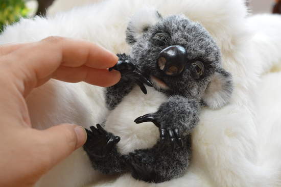 koala cub eyes open and close by Irina Fedi - Bear Pile