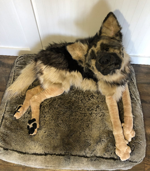 German Shepherd Dog Realistic by Heidi Klovee - Bear Pile